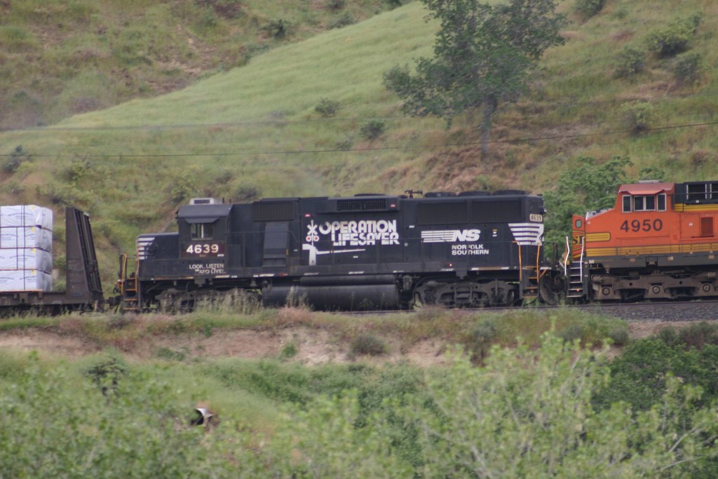 NS Operation Lifesaver GP59